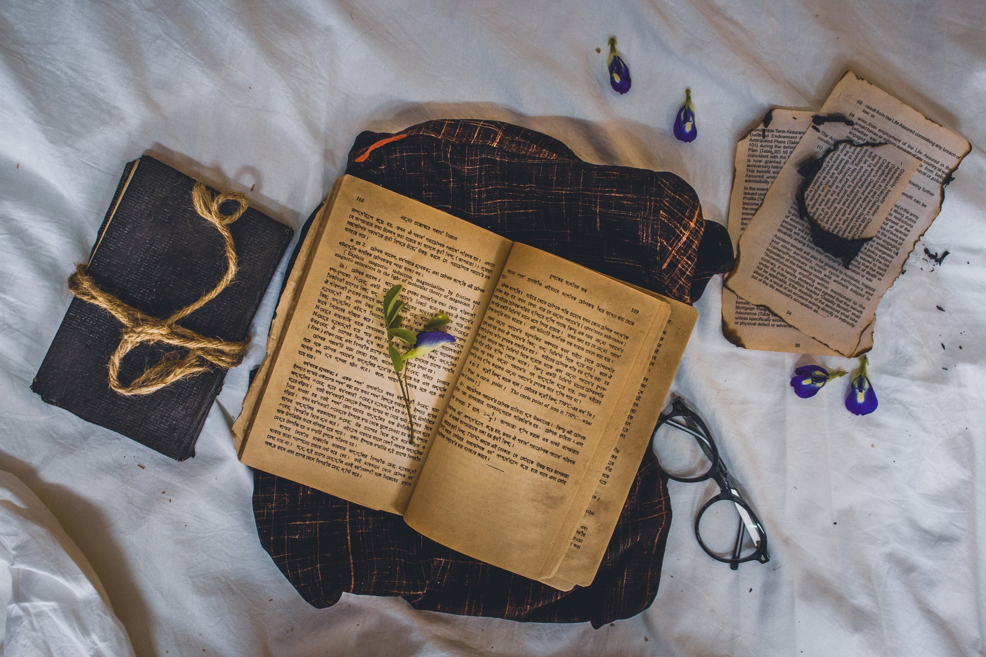Bible Studies for Faith Growth – Chytra Digital Studies